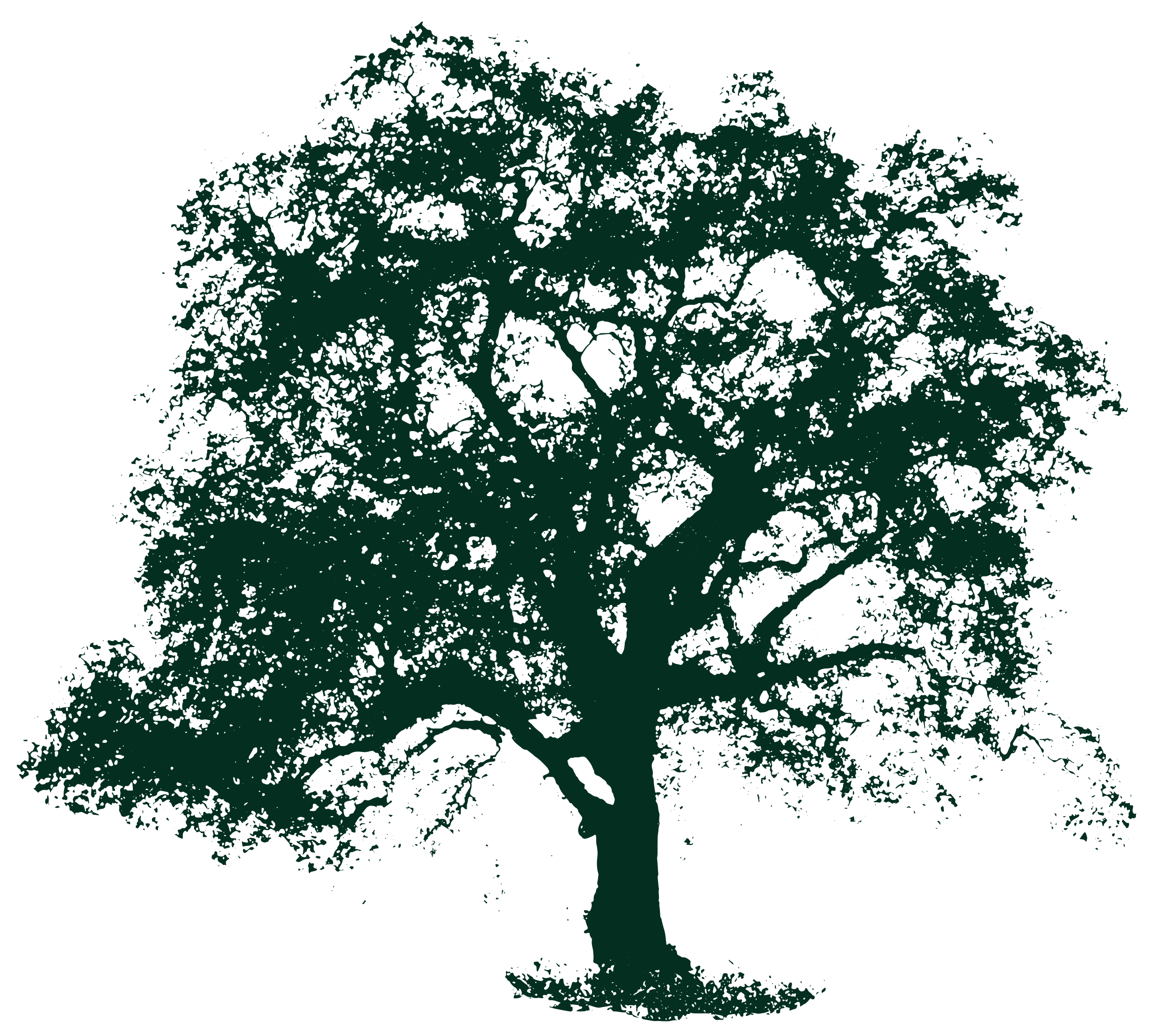 Our Team — Rothman Investment Management