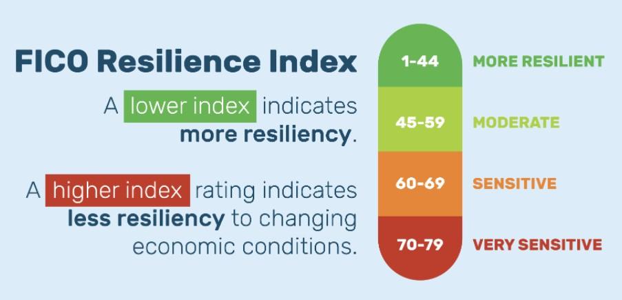 FICO® Resilience Index - What is your Resiliency under Stress ...