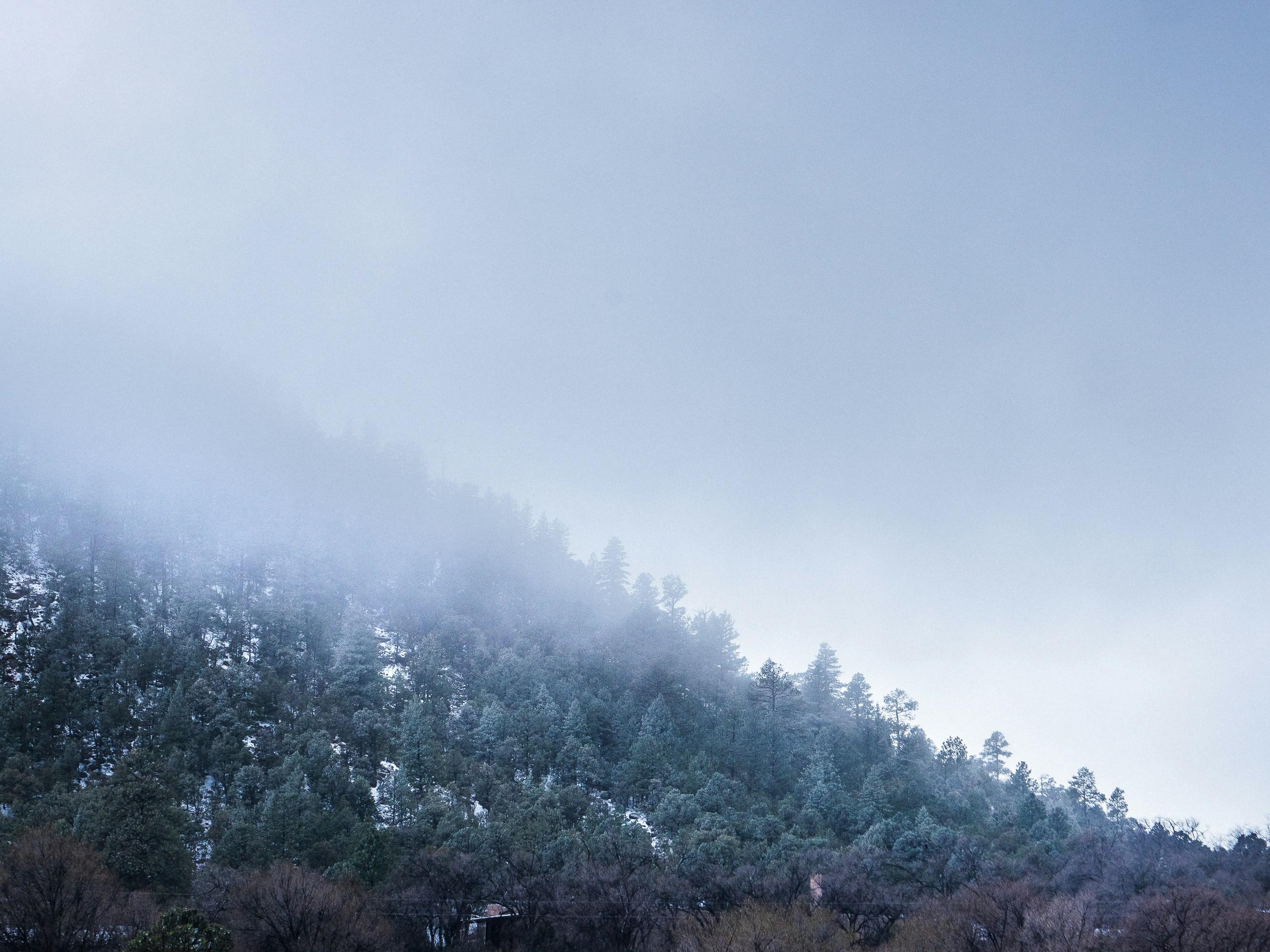 2024 Fourth Quarter Review and Outlook — LongView Asset Management