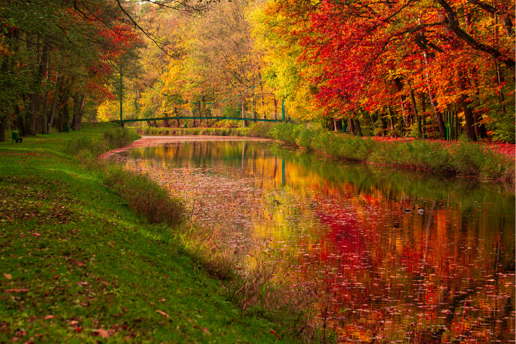 October 15th Deadlines Are Approaching — California Retirement Advisors ...