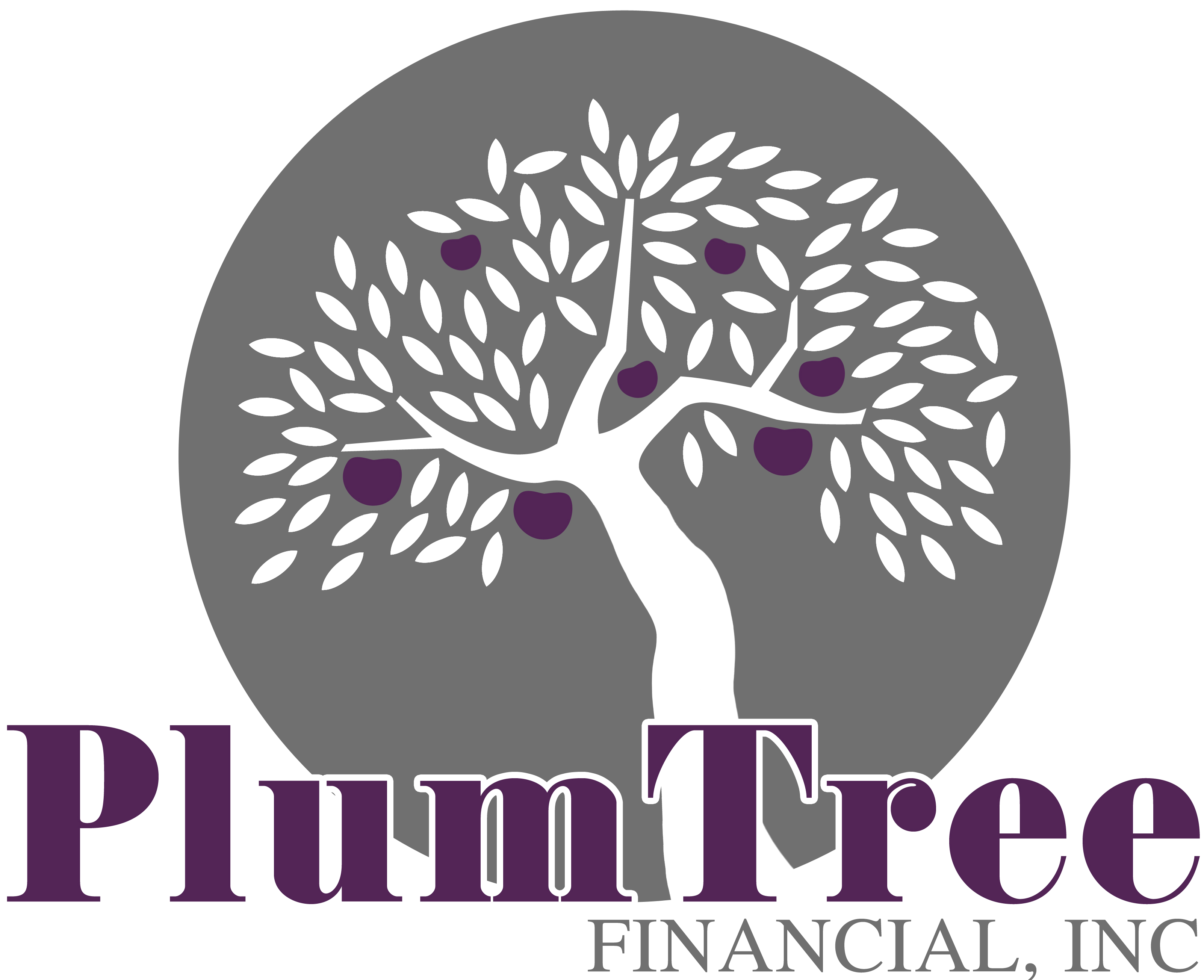 Financial Planning in D.C. | CERTIFIED FINANCIAL PLANNER™ — PlumTree ...