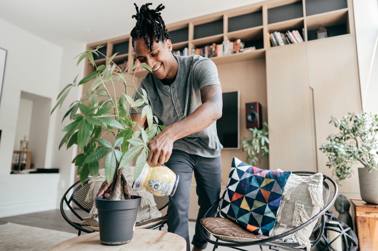 Retirement dreams – financial reality — Hugh W. Dodd